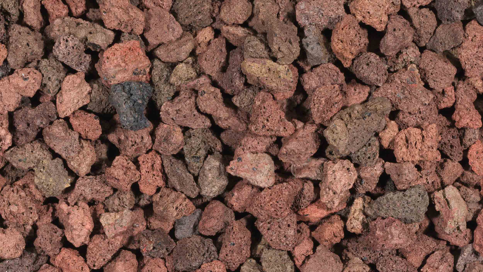 Tuin & terras | DANCKAERT NV